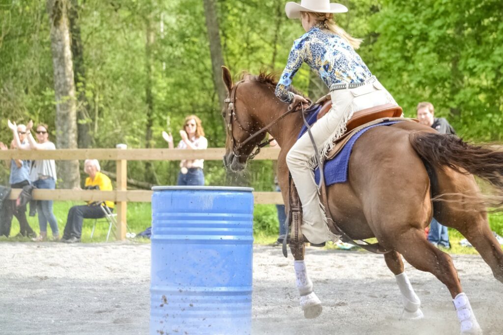 Faszination Westernreiten: Was steckt hinter dem Reitstil?