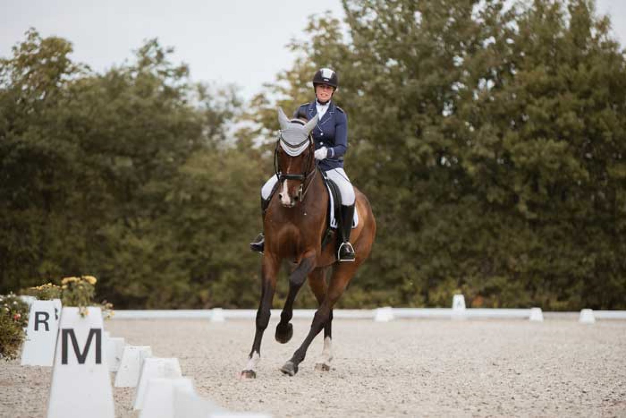 Reitsportdisziplin Dressur - Reitzubehör und Reitsportartikel